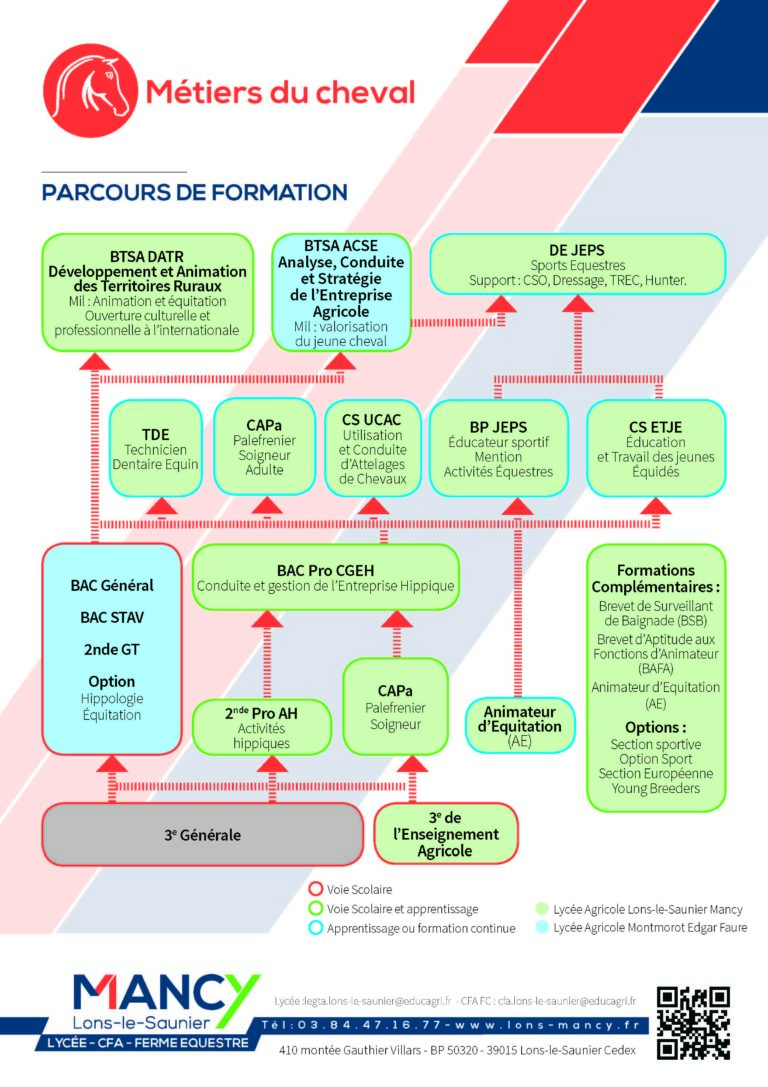 Formations cheval – Etablissement Public Agricole Mancy Lons-le-Saunier